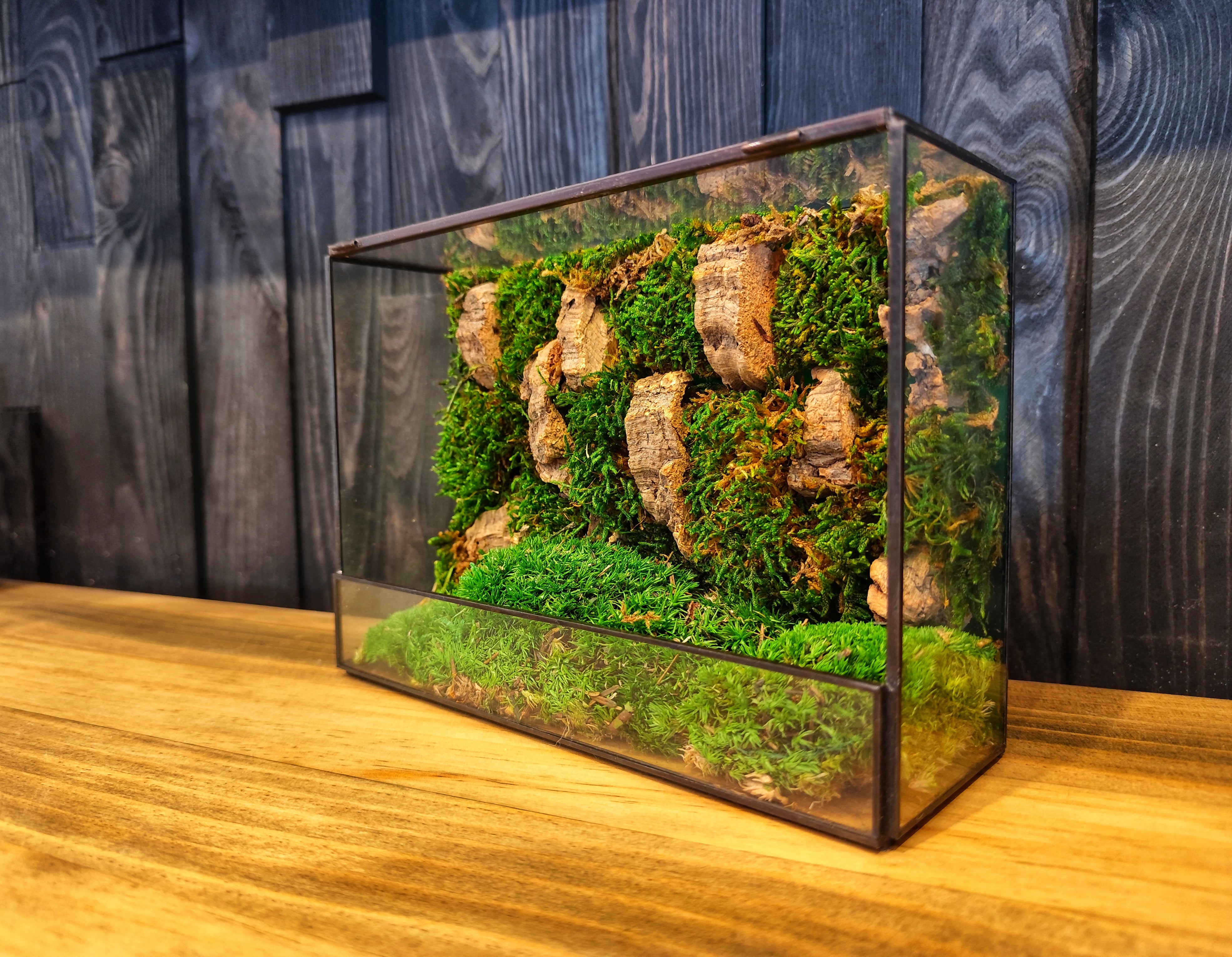 Wall Preserved Terrarium – MinimalMoss