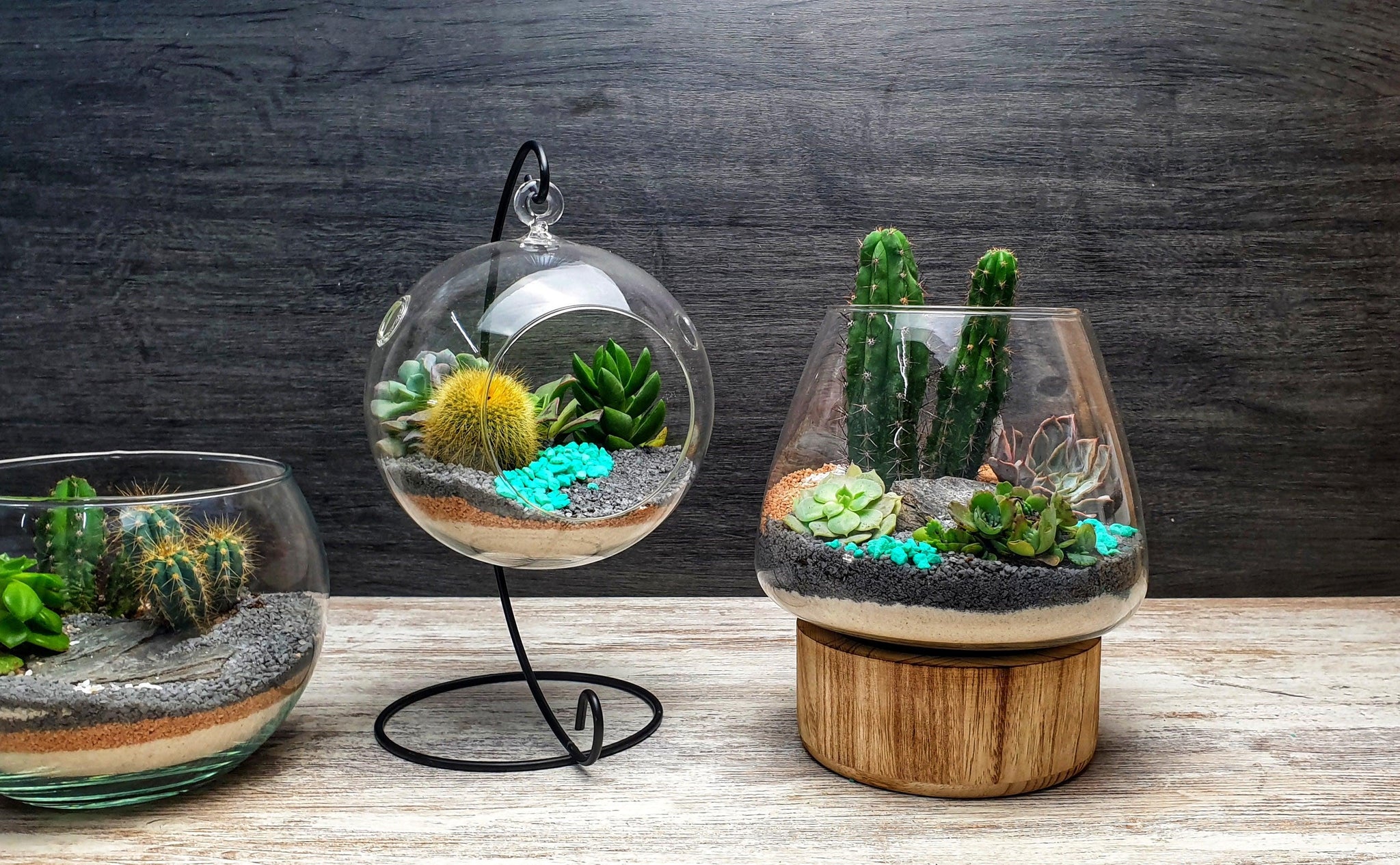 Desert Terrarium – MinimalMoss